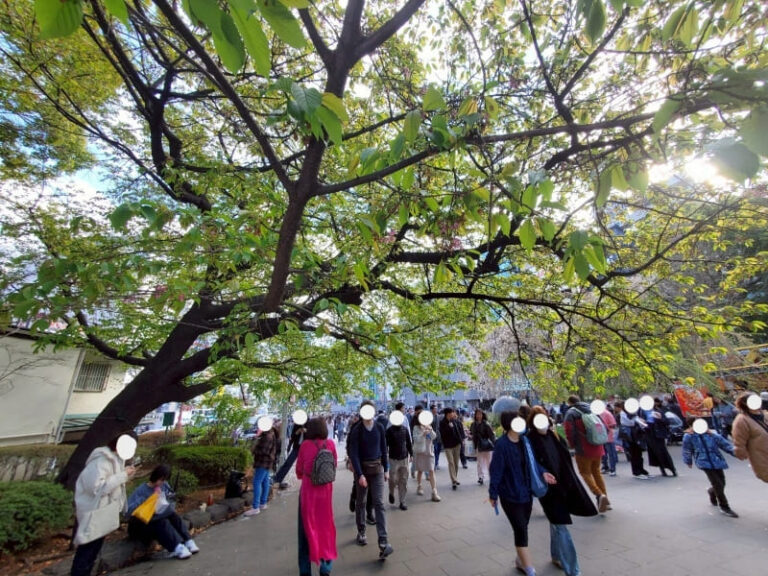 【上野公園桜マップ｜前編(1～20)】1番から番号順に桜の品種を写真と共に紹介 | 花を知る場所